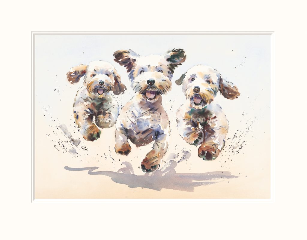 The Three Amigos | The Frame Gallery