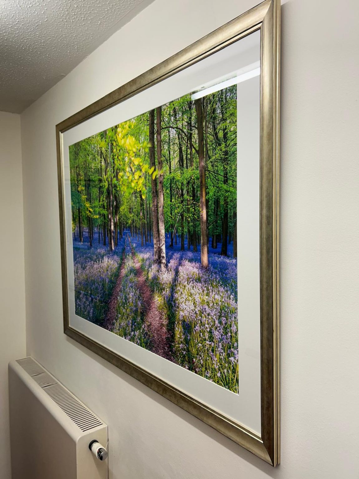 Local Business Framing Project - The Frame Gallery